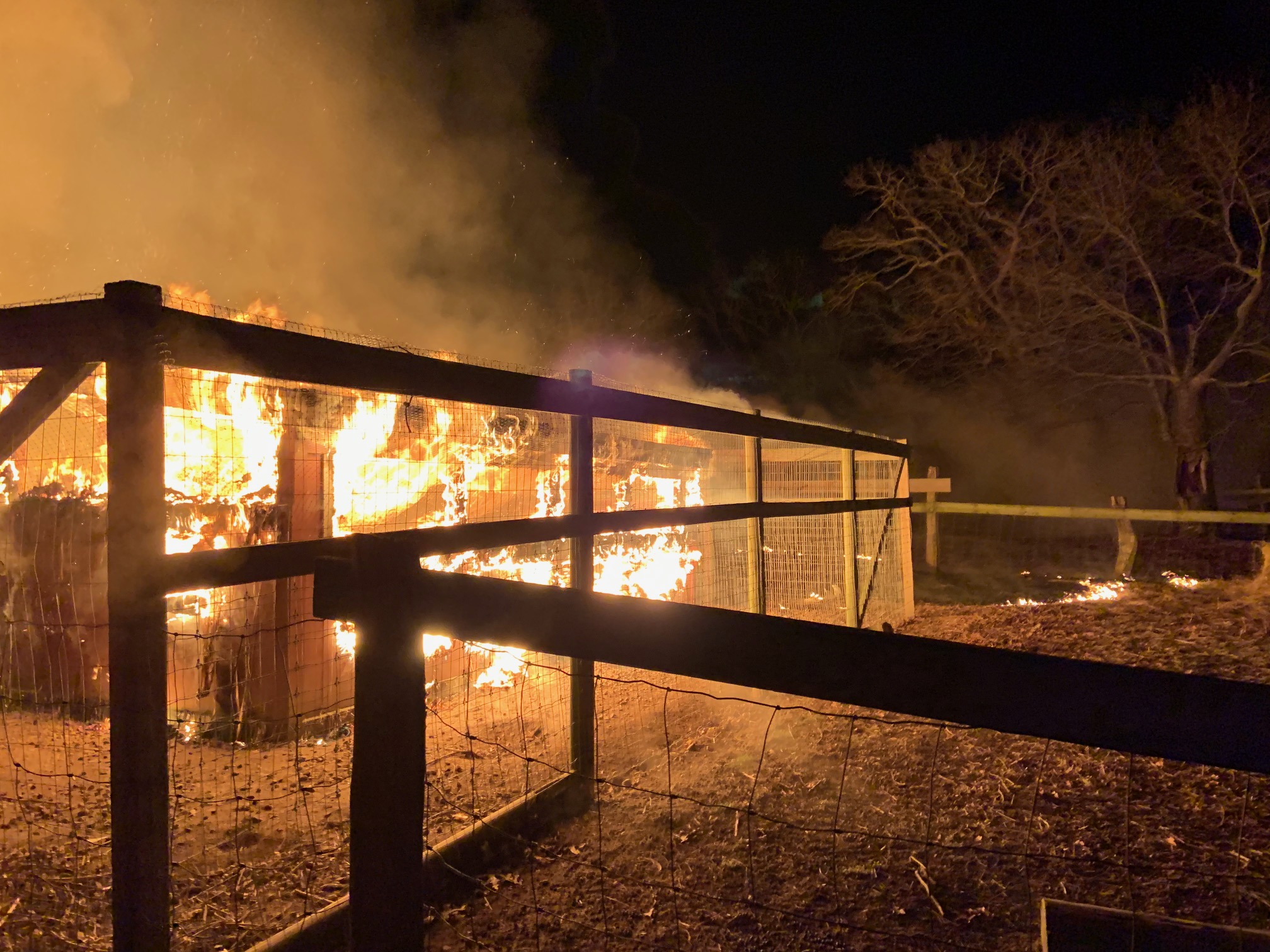 Barn fire kills 86 animals in West Tisbury, leaves third-generation ...