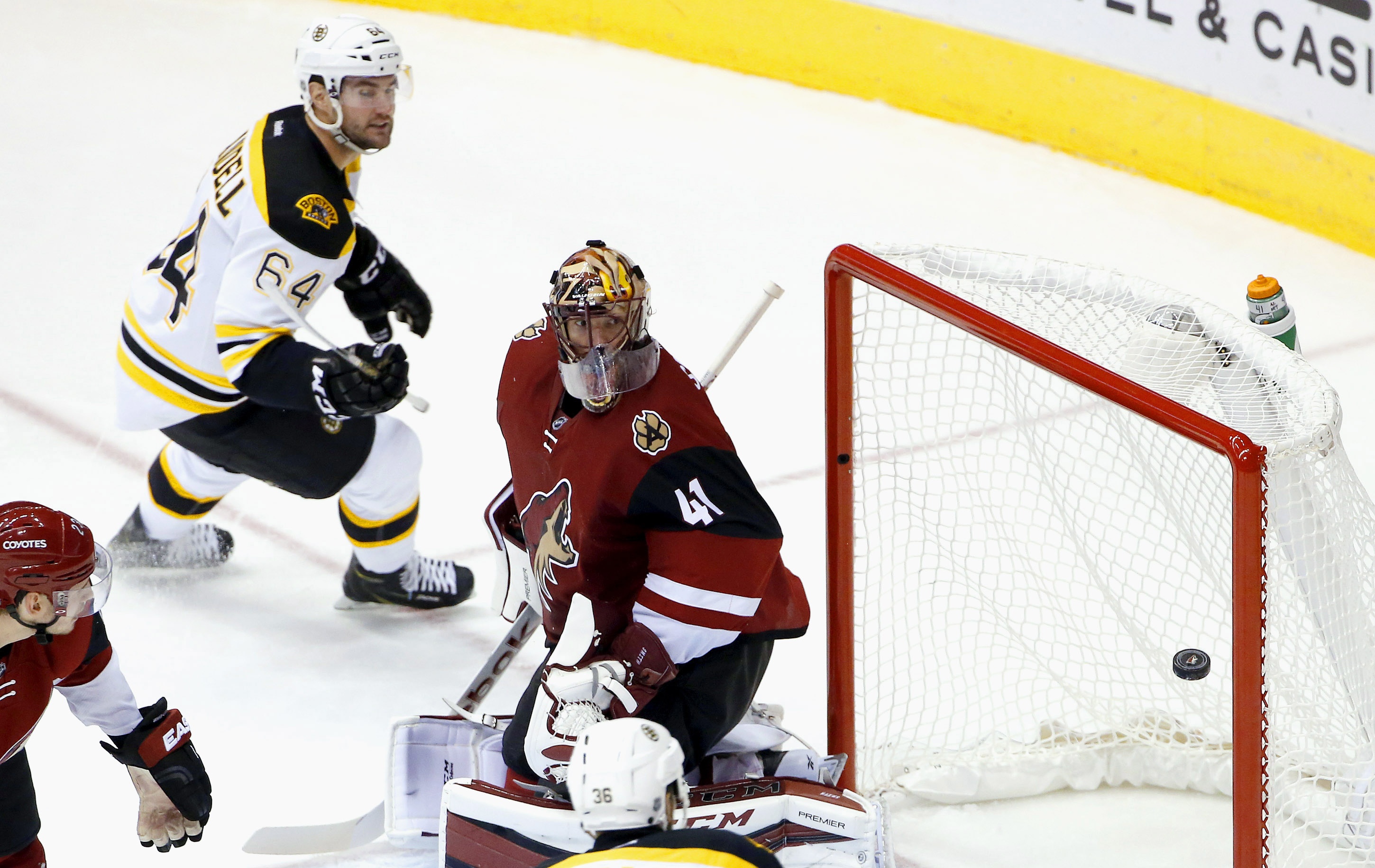 Tyler Randell a pleasant surprise for Bruins - The Boston Globe