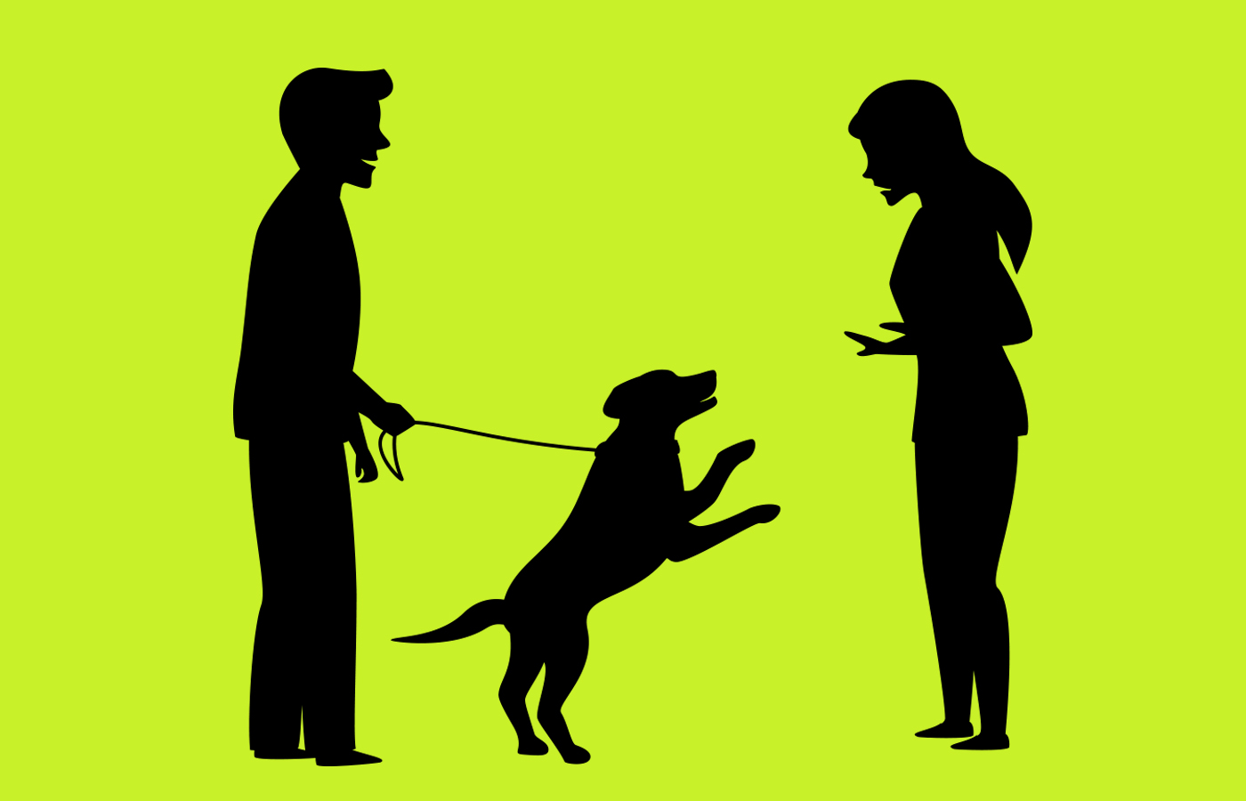 Advice Dog