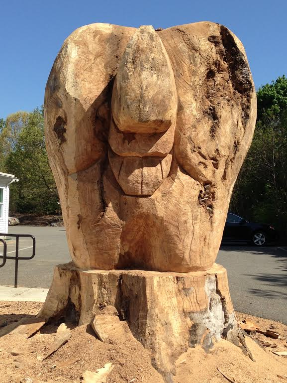 Tree that fell in front of a Stoughton dental office being turned into ...
