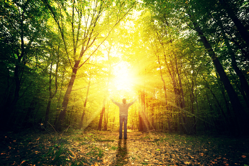 ‘Between God & Green’ by Katharine K. Wilkinson - The Boston Globe