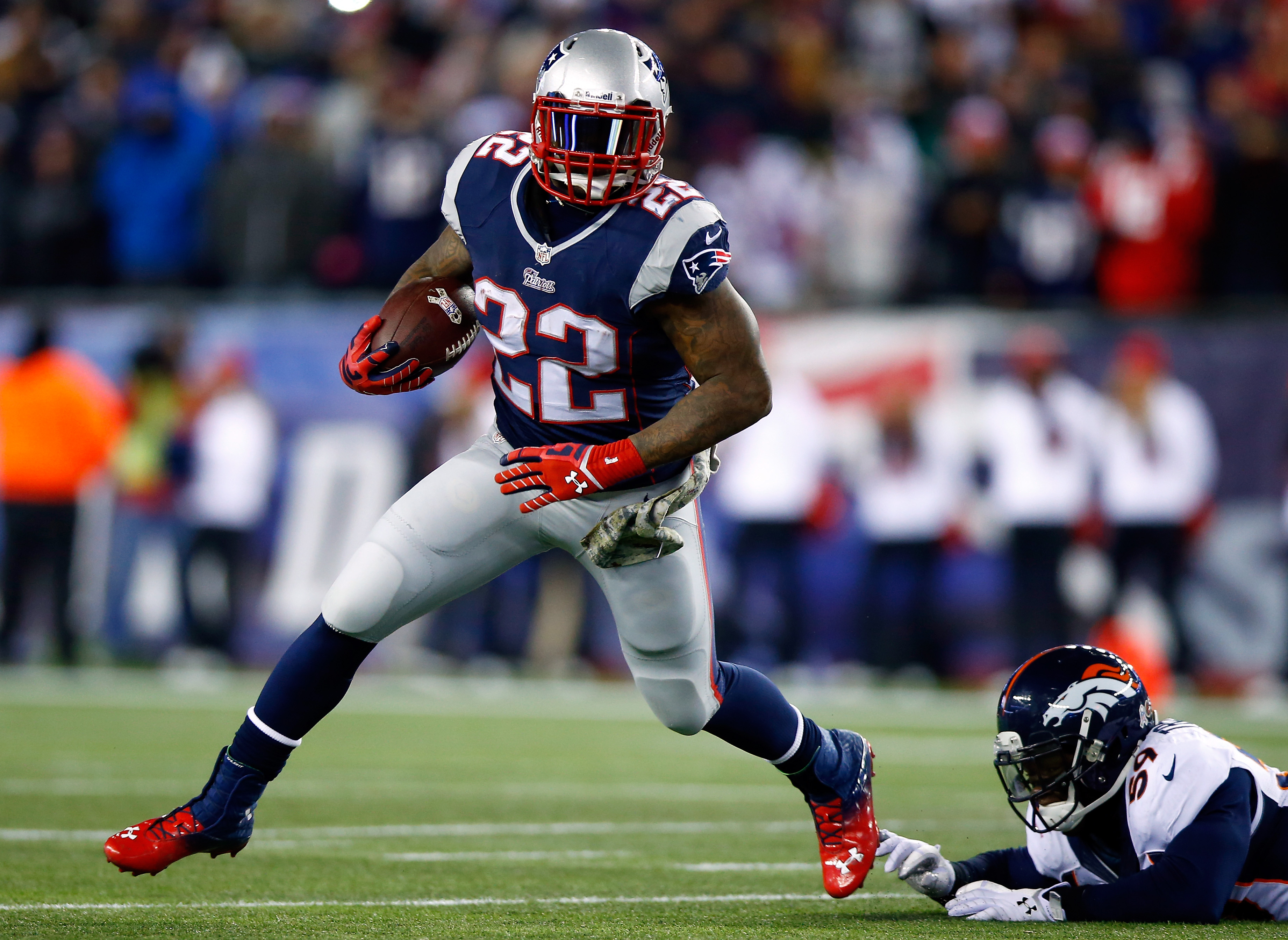 Stevan Ridley Biography