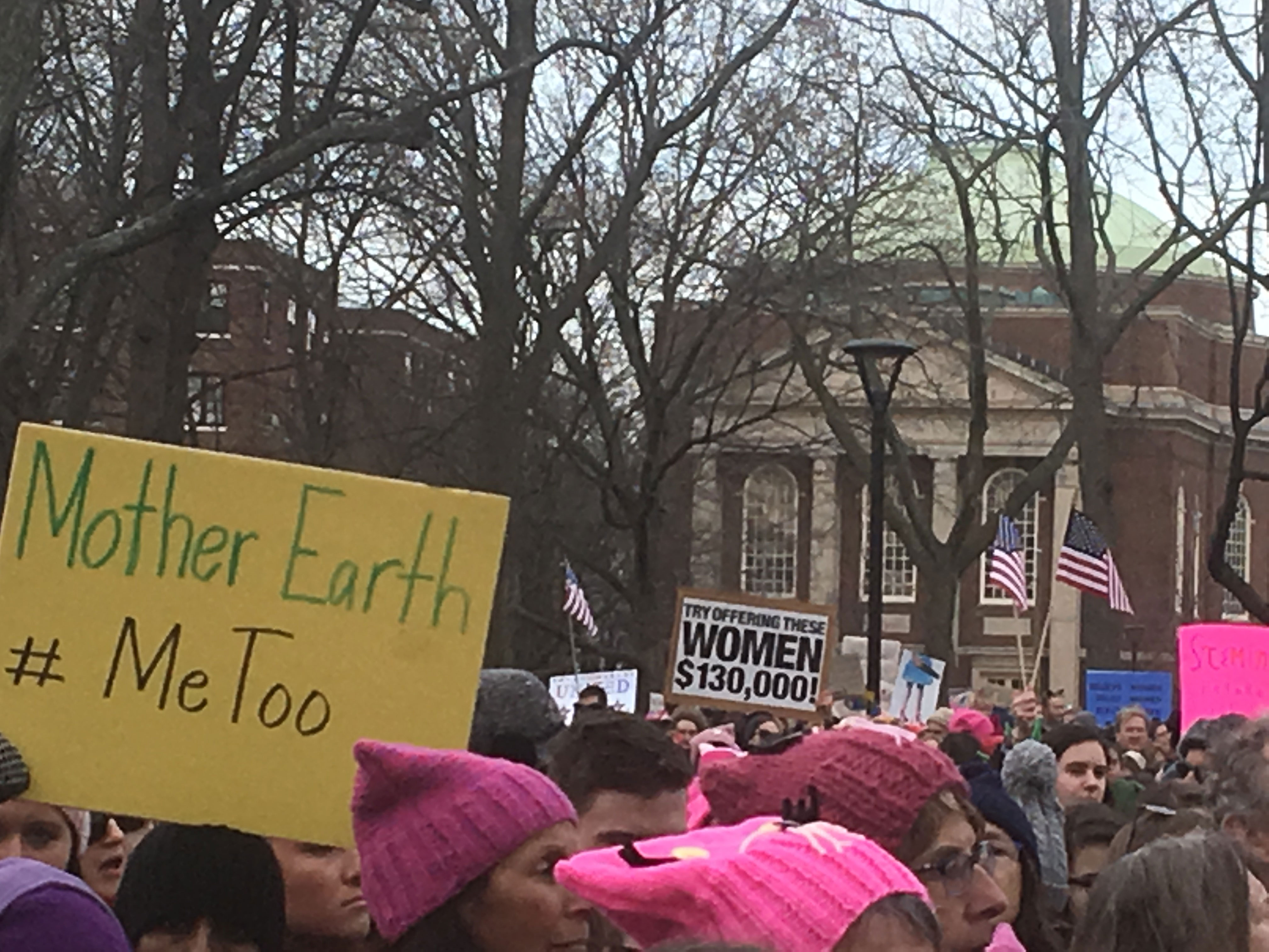 At women’s marches, the signs tell the story - The Boston Globe