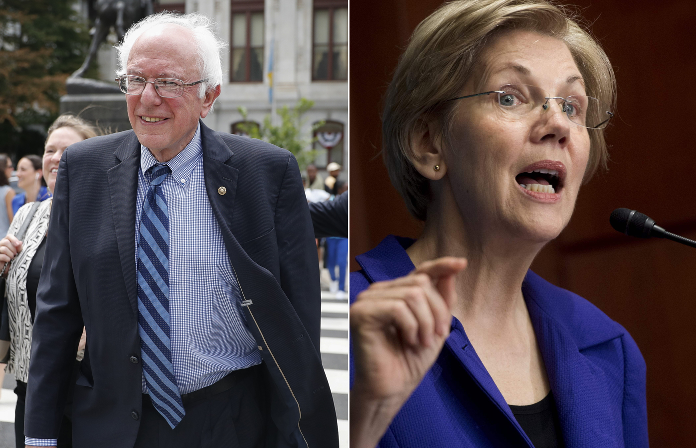 The next liberal lion: Bernie Sanders or Elizabeth Warren? - The Boston ...