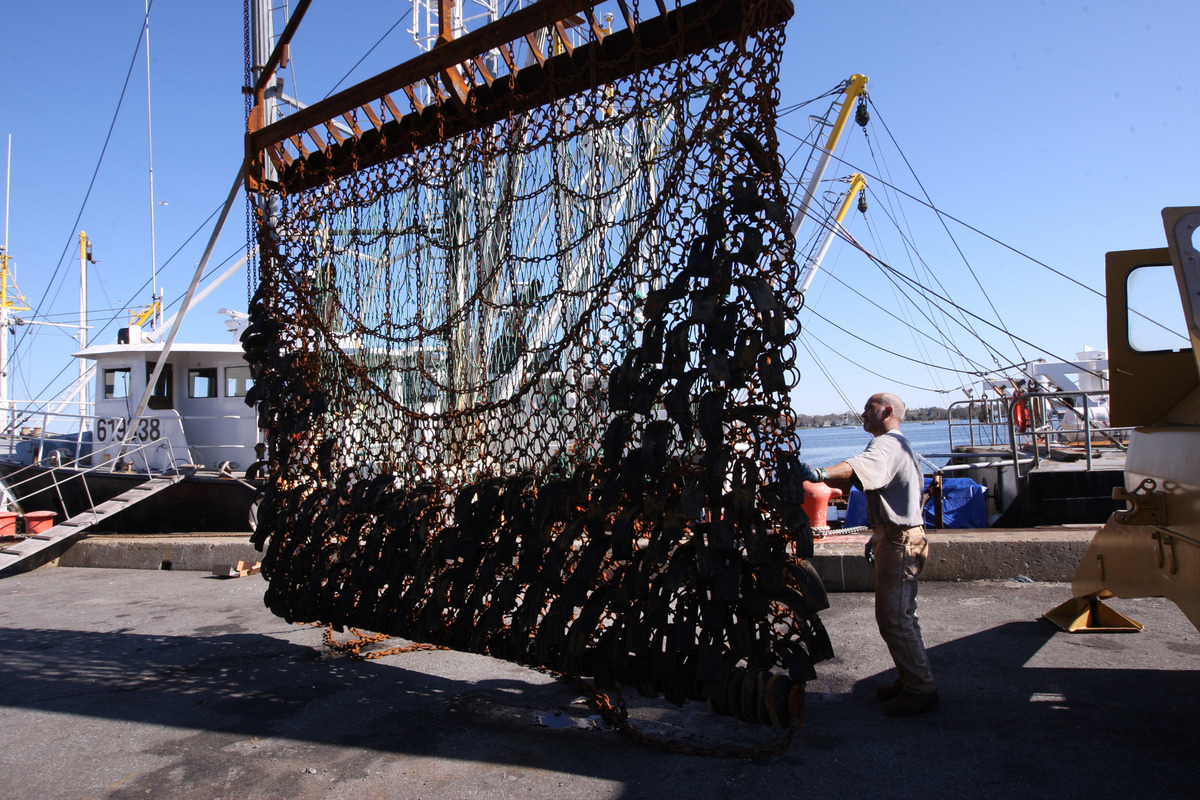 Scallopers wary of new gear required to protect turtles - The Boston Globe