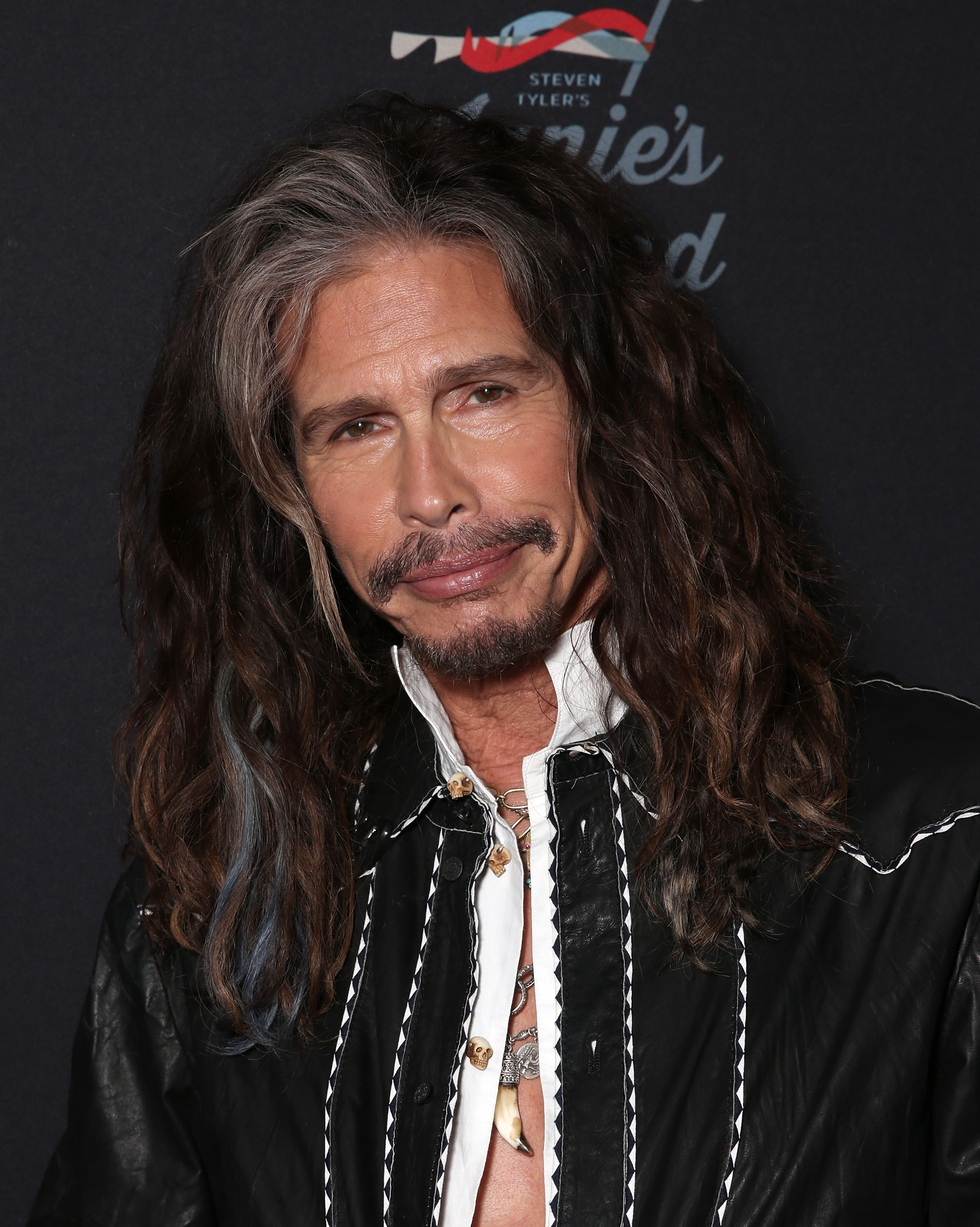 ‘Guardians of the Galaxy’ director says yes to Steven Tyler - The ...