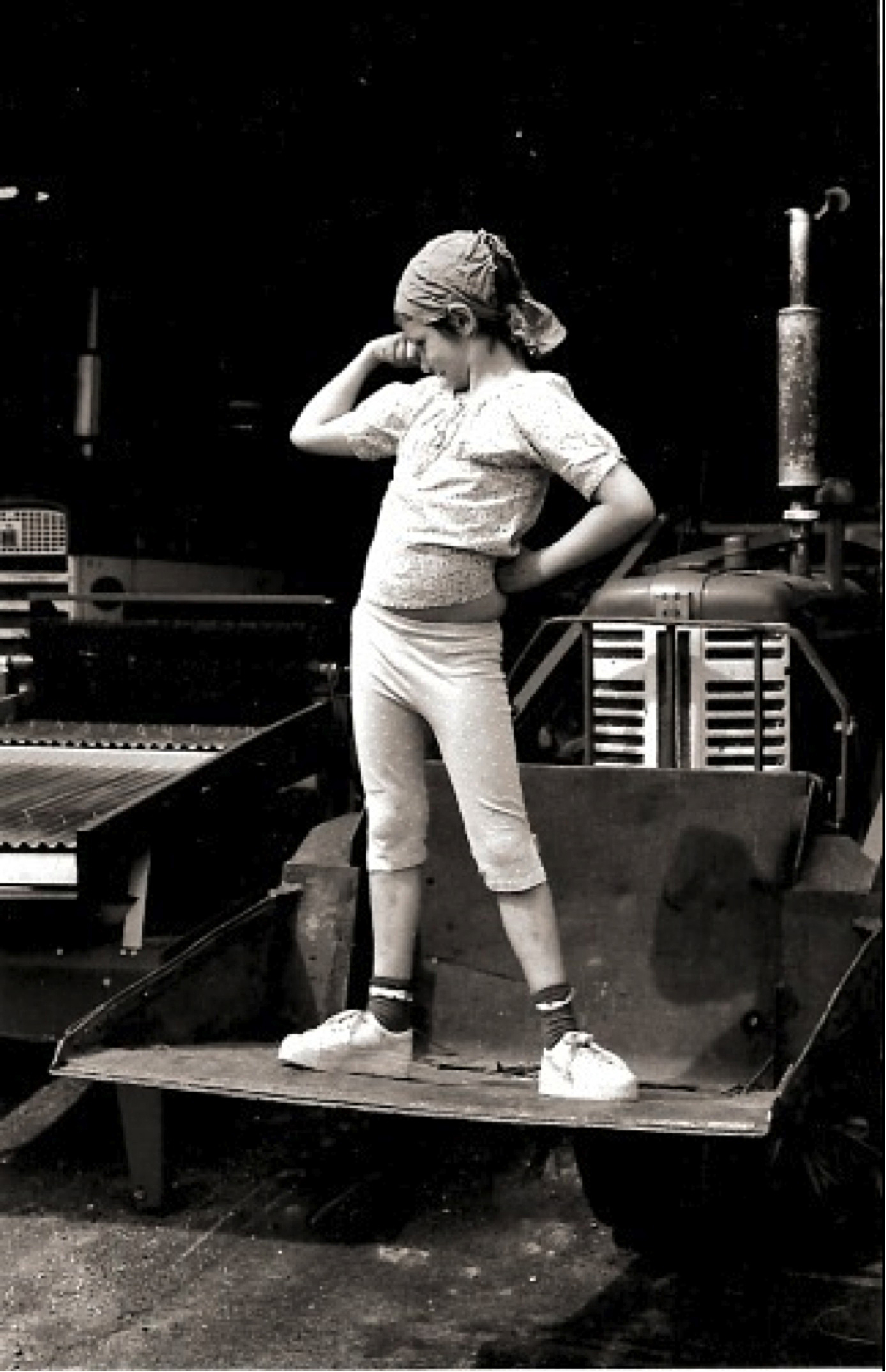 30,000 eggs to fall from sky for cancer fund-raiser - The Boston Globe