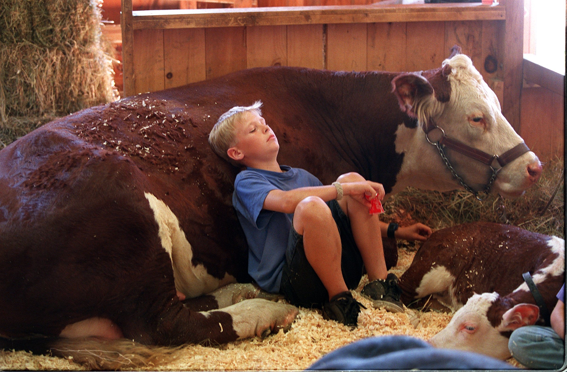 Marshfield Fair opens for 150th year - The Boston Globe