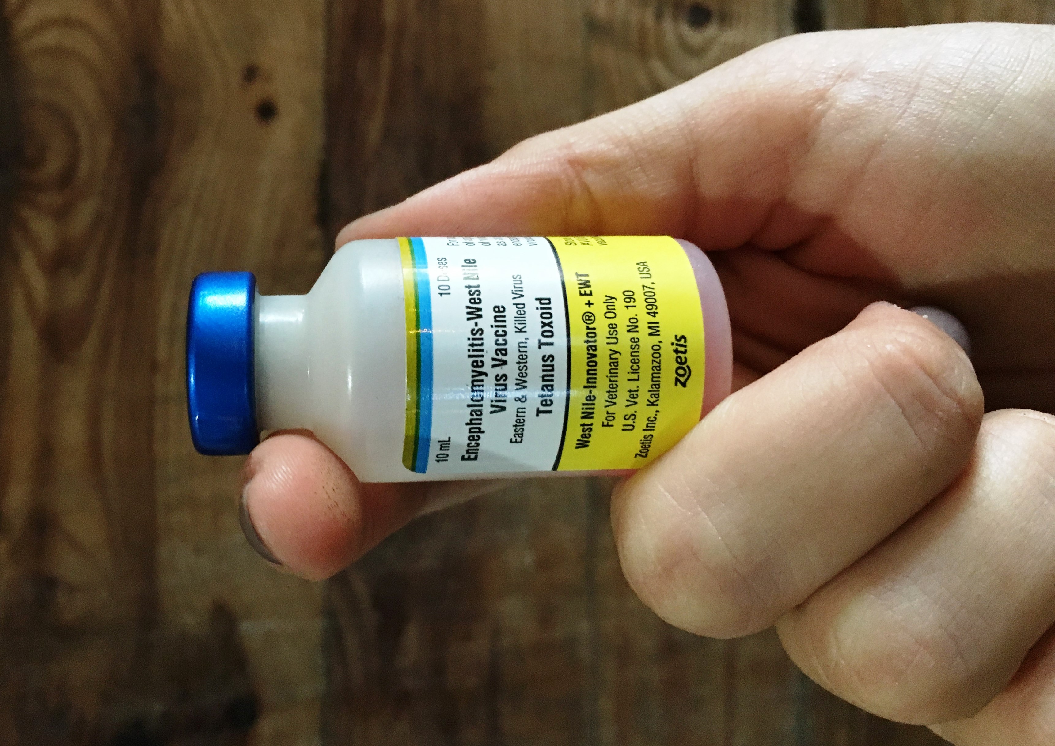 MSPCA expands emergency EEE vaccination clinic for horses due to high ...