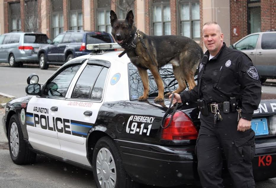Arlington police to hold memorial for late K9 - The Boston Globe