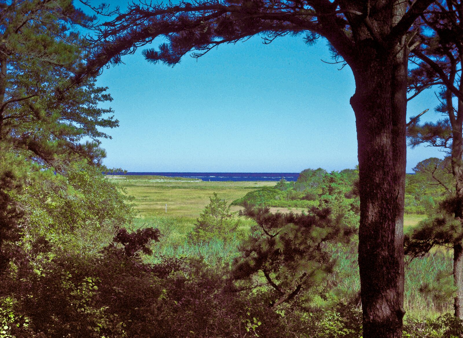 A perfect day in … Brewster - The Boston Globe