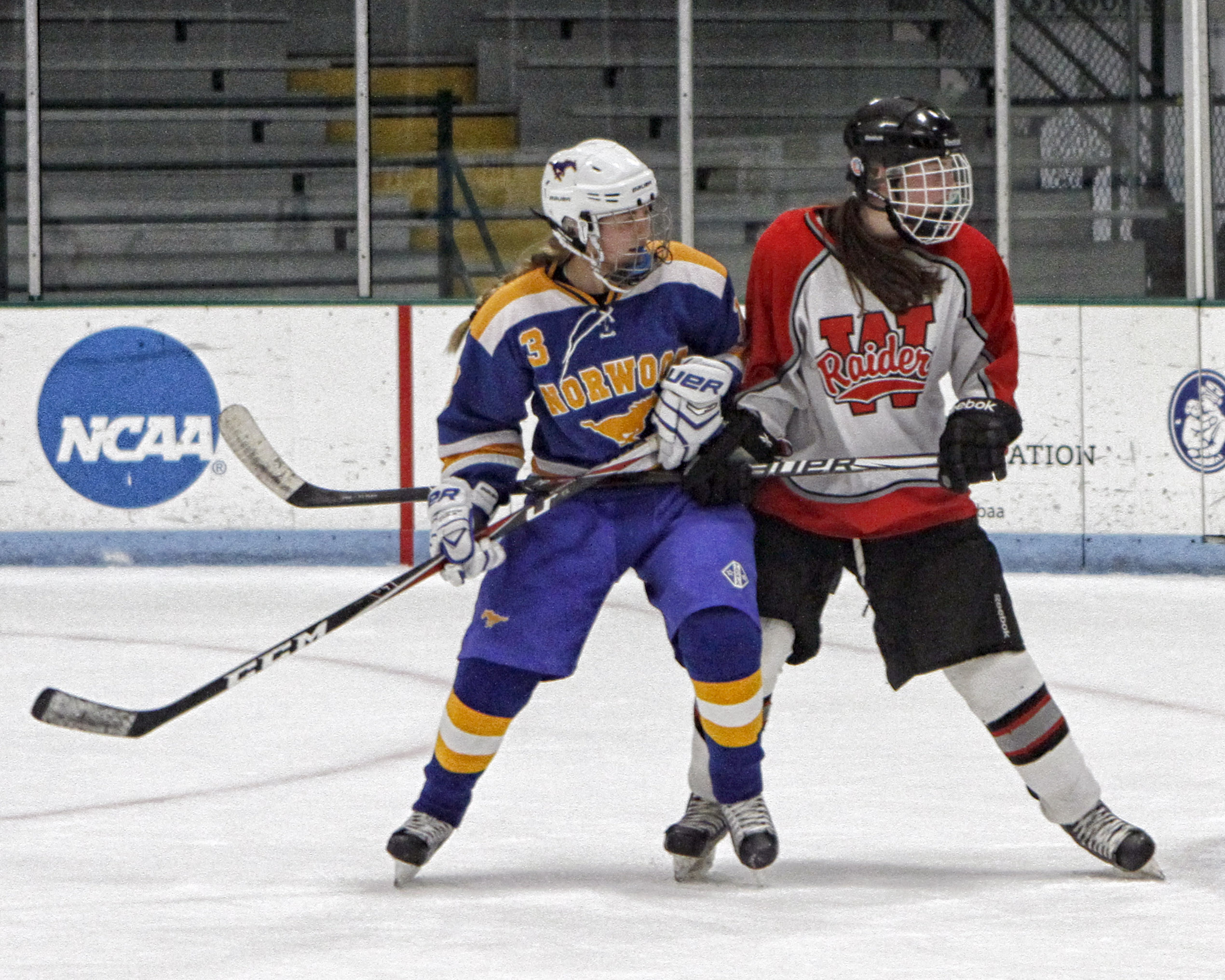 Unbeaten Wellesley High girls’ hockey has junior achievers - The Boston ...