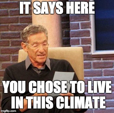 Boston Weather Memes