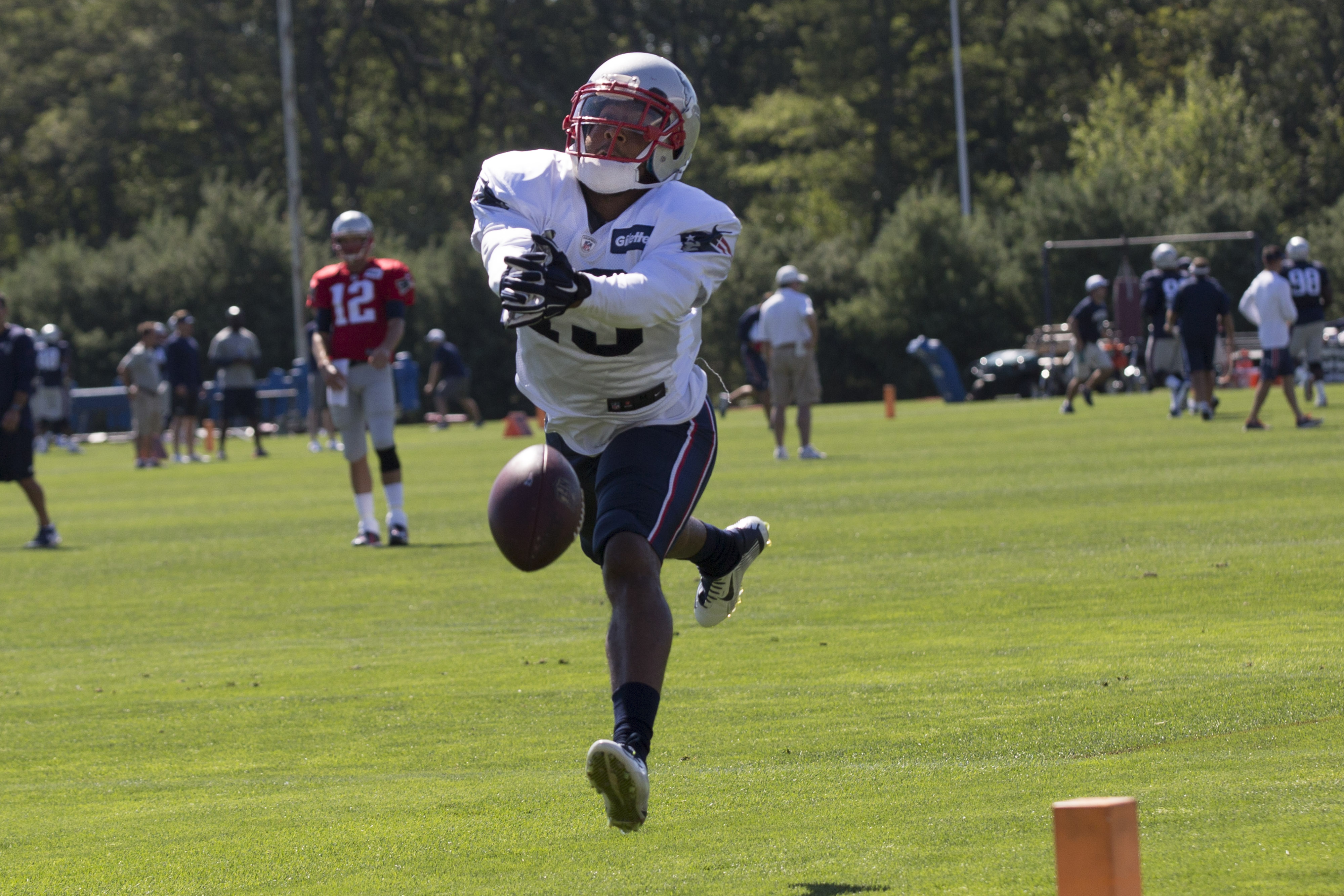 Brandon Gibson may be a good catch for Patriots - The Boston Globe