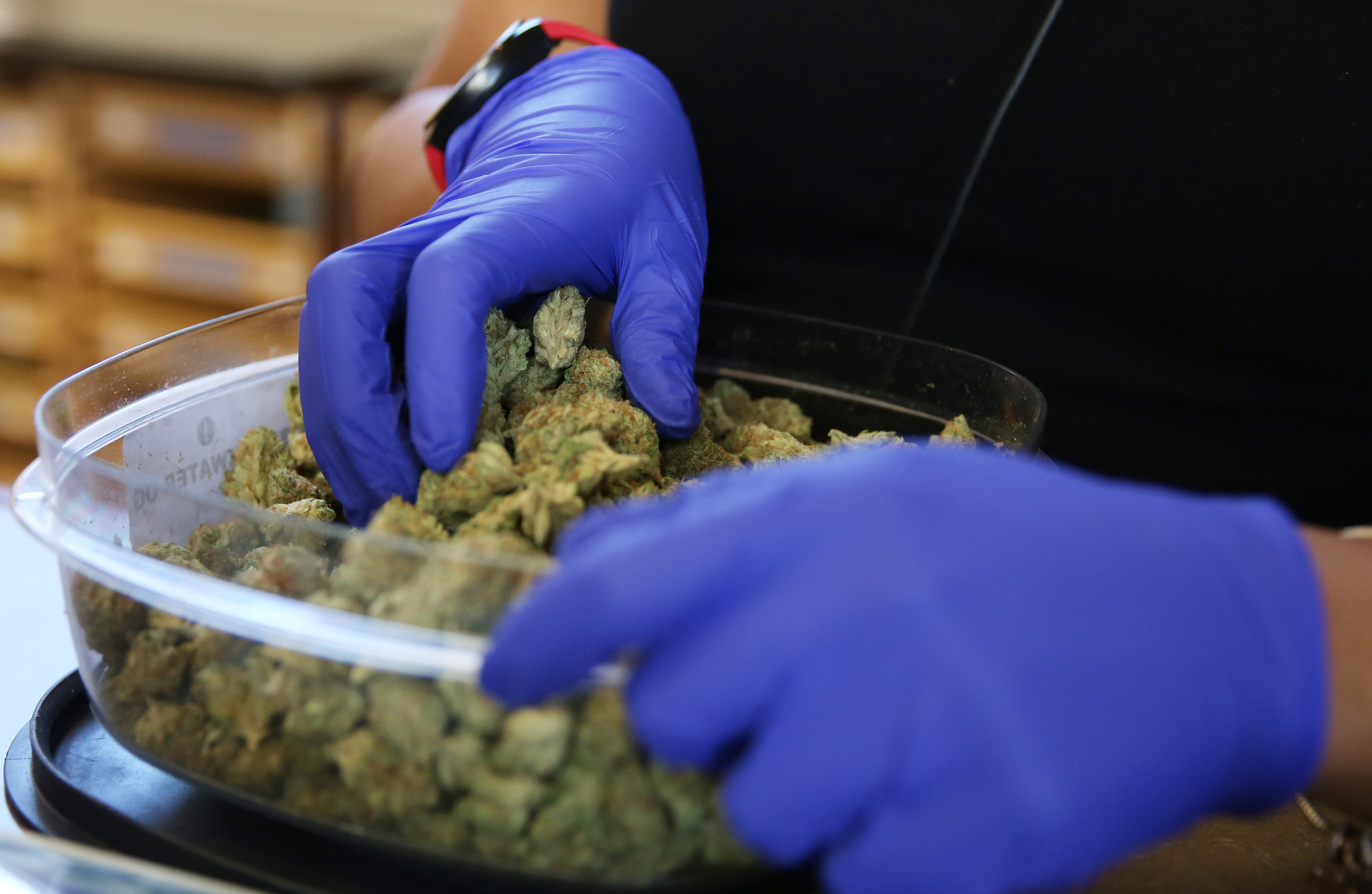 Local business sues Amesbury, alleging mayor unfairly blocked marijuana ...