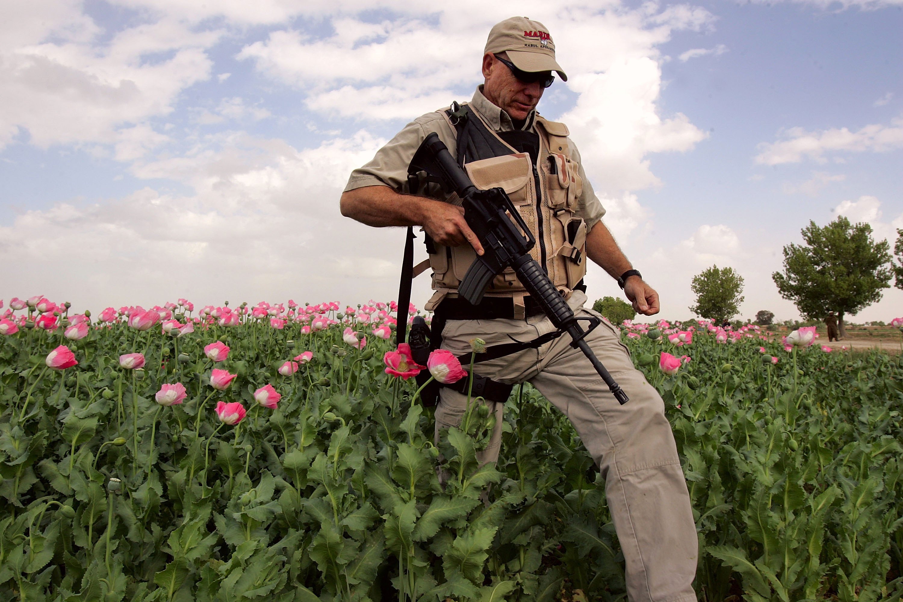 An American security contractor of DynCorp walks through an opium poppy ...