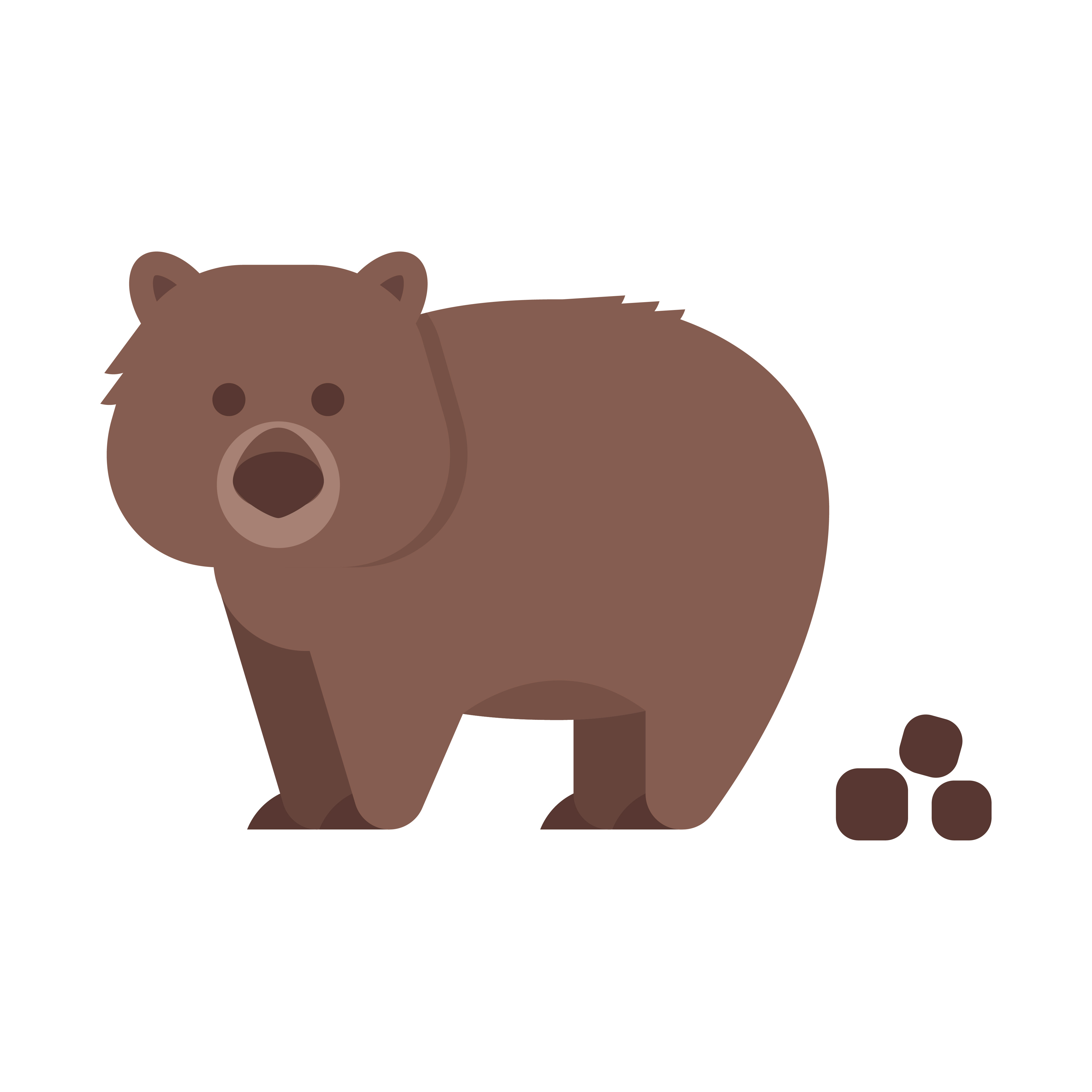 Revelation: Why wombats poop in cubes - The Boston Globe