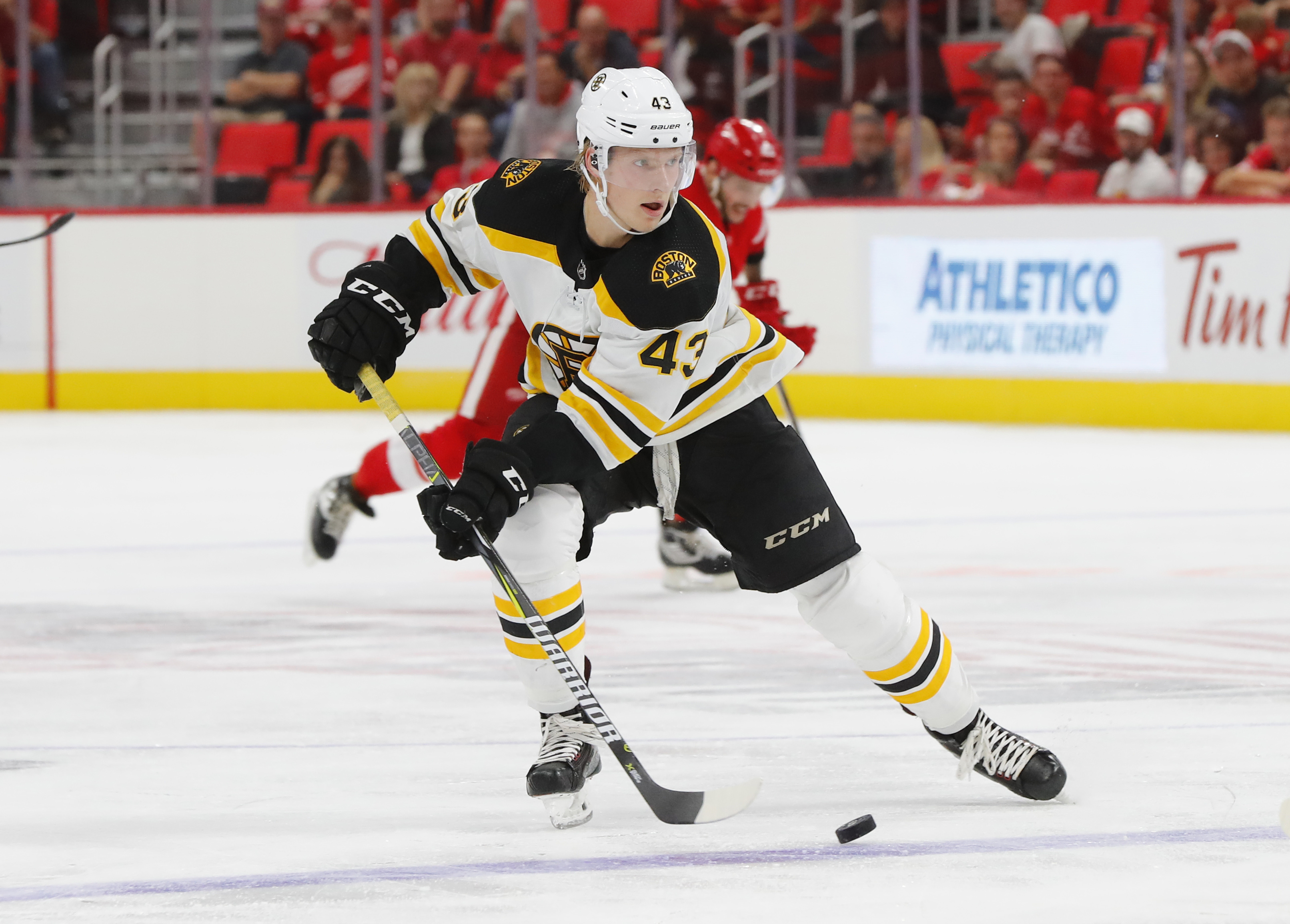 Bruins recall Danton Heinen from Providence - The Boston Globe