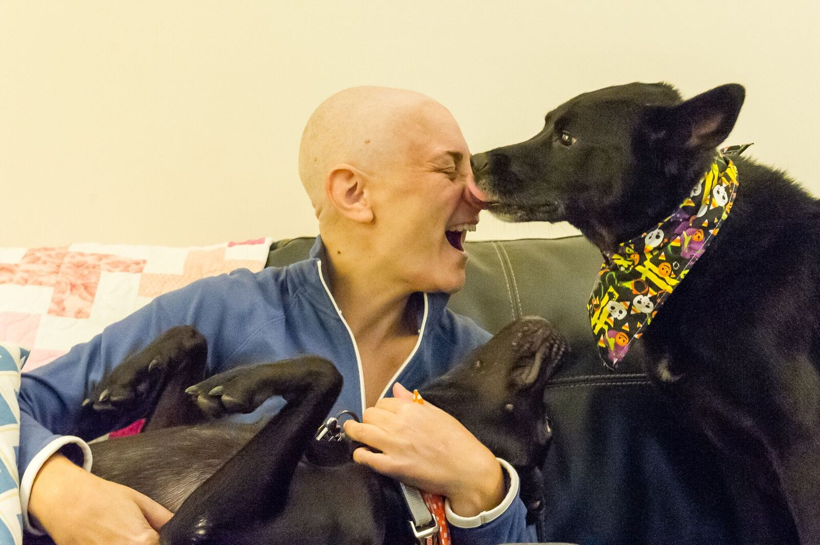 How Do Dogs Help The Community