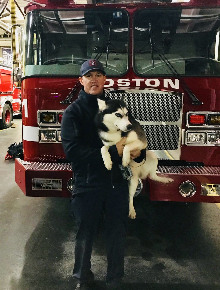 Firefighters help lure runaway husky to safety after dog runs through O ...