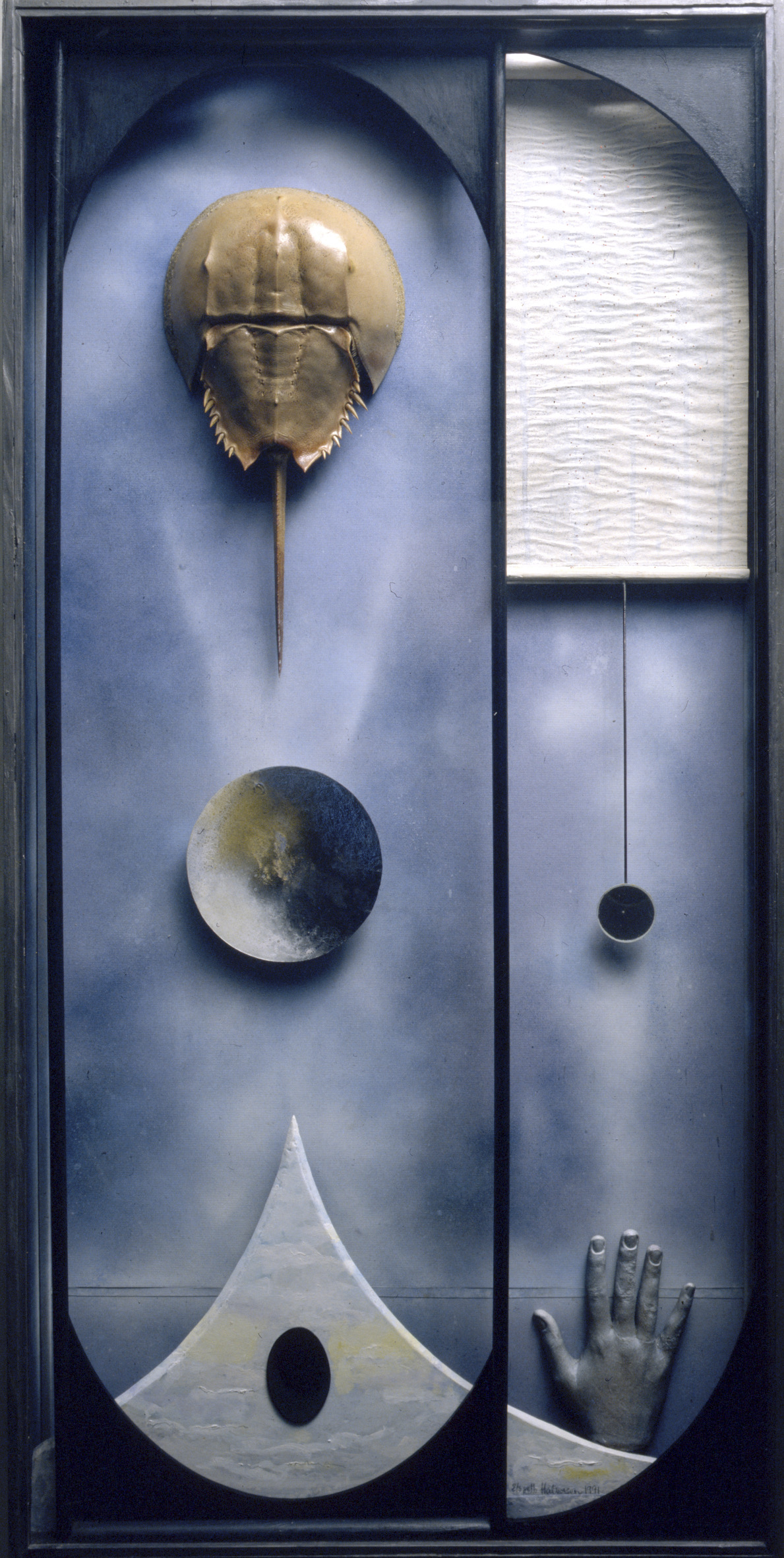 Elspeth Halvorsen Vevers, whose dioramas explored the ‘mystery of the ...